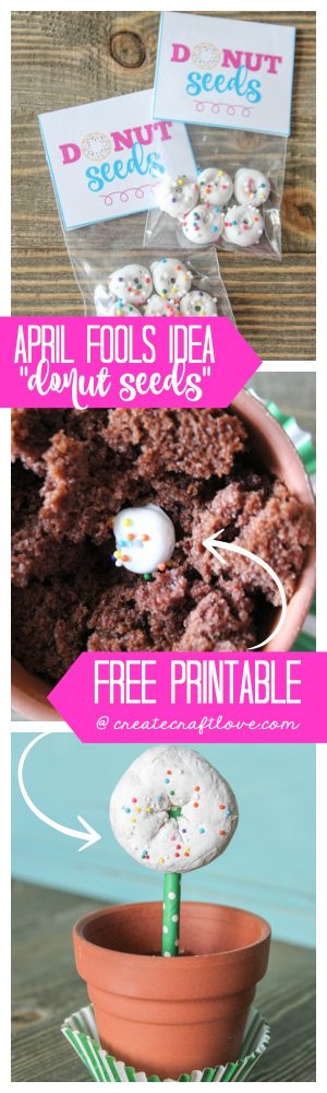 Donut Seeds | April Fools Idea - Create Craft Love